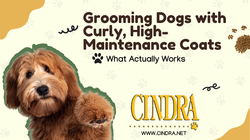 Grooming Dogs with Curly, High-Maintenance Coats: What Actually Works