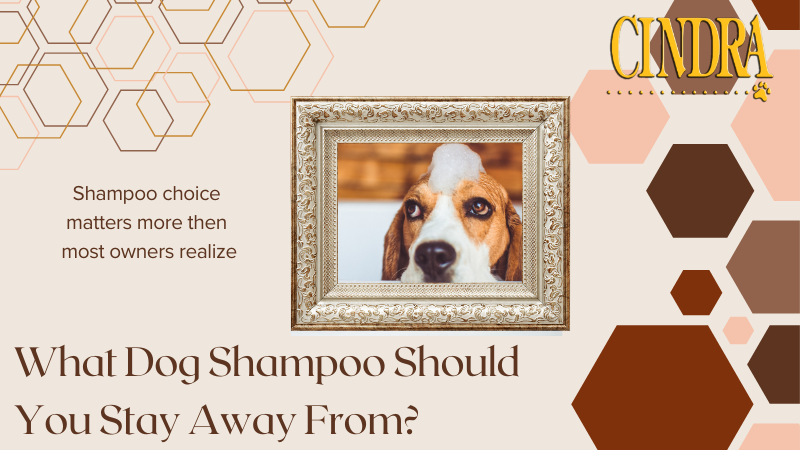 What Dog Shampoo Should You Stay Away From? – Cindra Pet Products